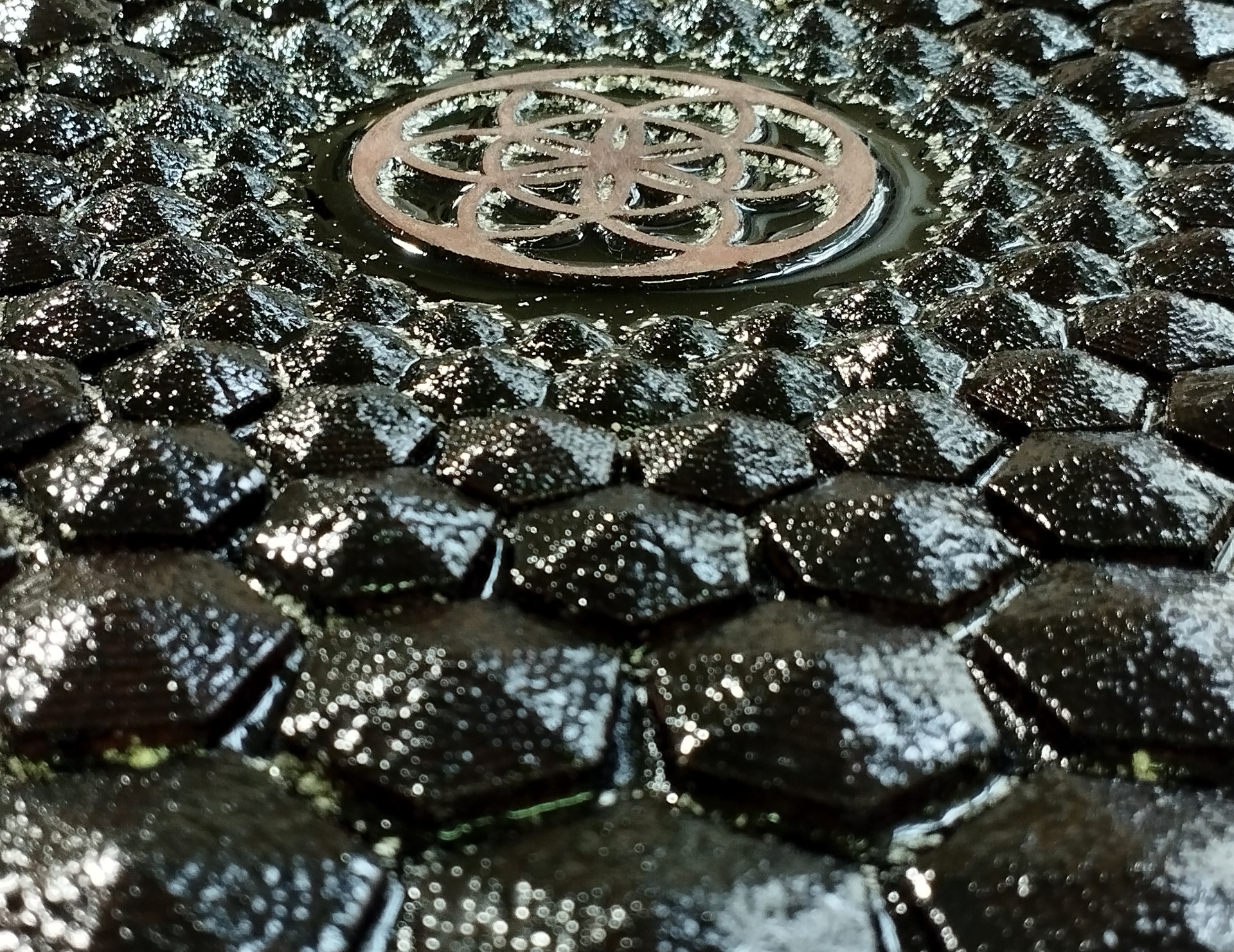 FLOW DISC PLUS :: Centrumserafin